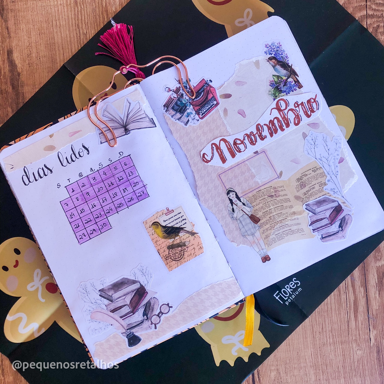 Reading Journal de Novembro - Vamos Renovar?